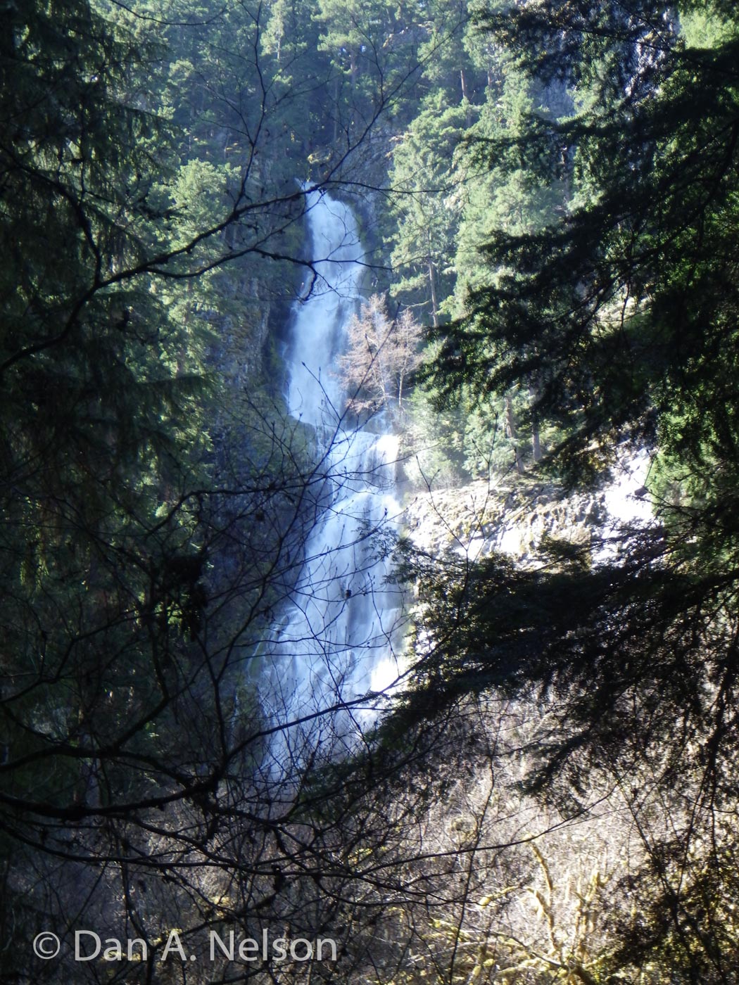 Hiking Guide: Skookum Falls – Adventures Northwest