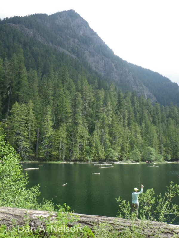 Hiking Guide: Lower Lena Lake & beyond – Adventures Northwest